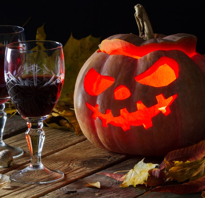 Hallo-Wine Pick - WINE WARRIOR